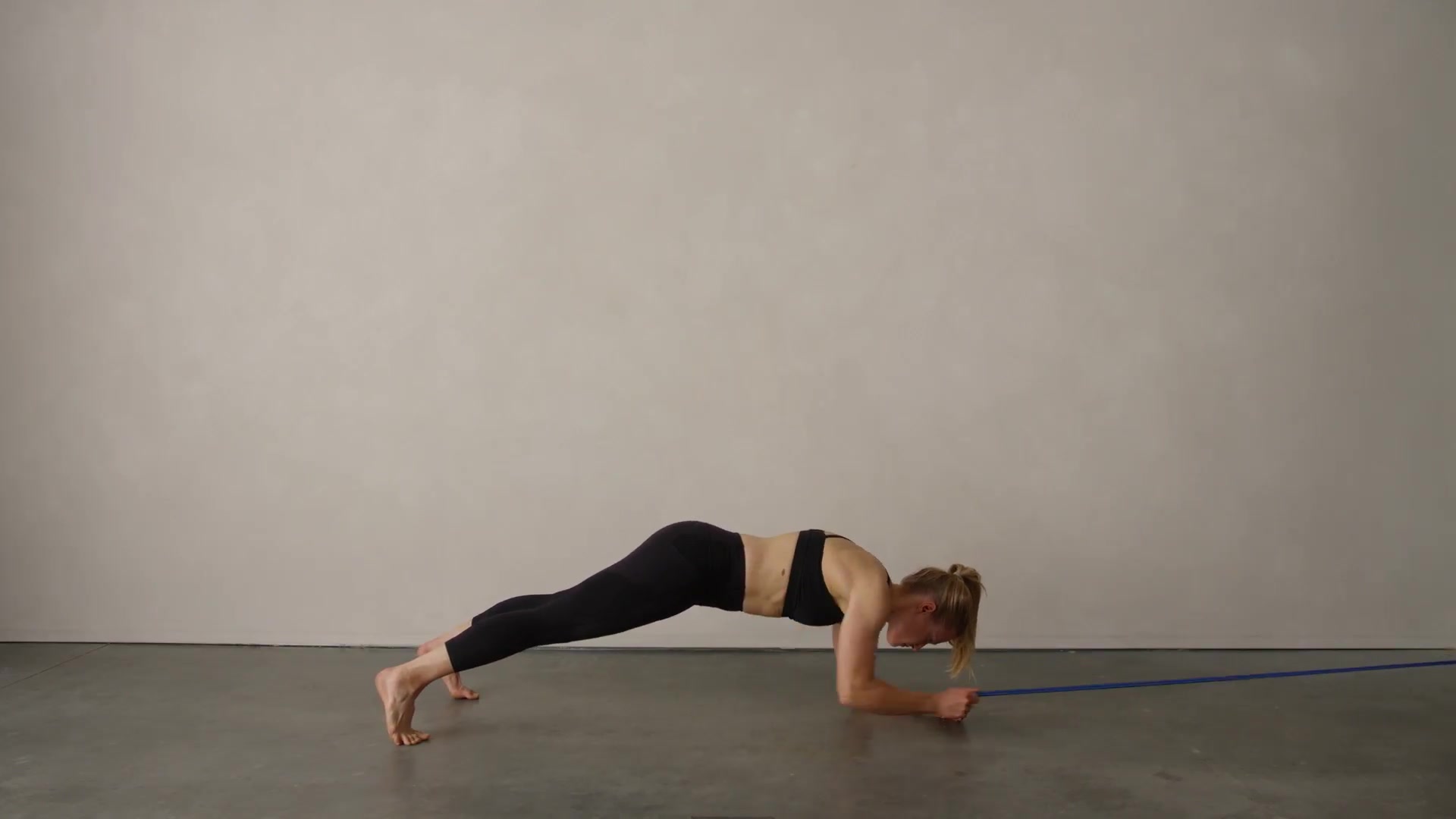 Plank with Single Arm Row - Video, Instructions & Variations